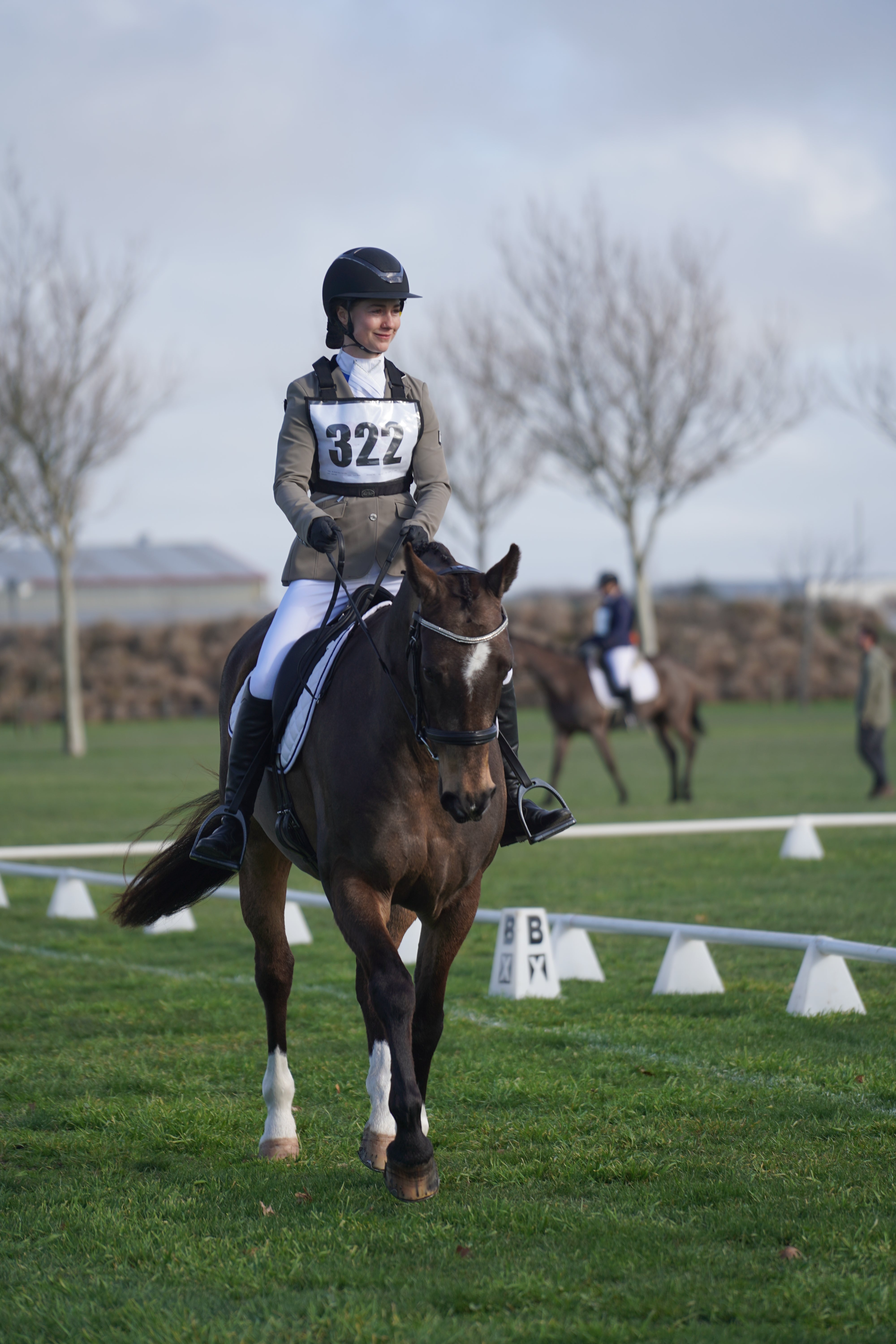 Springston Trophy Merch – Hinterland