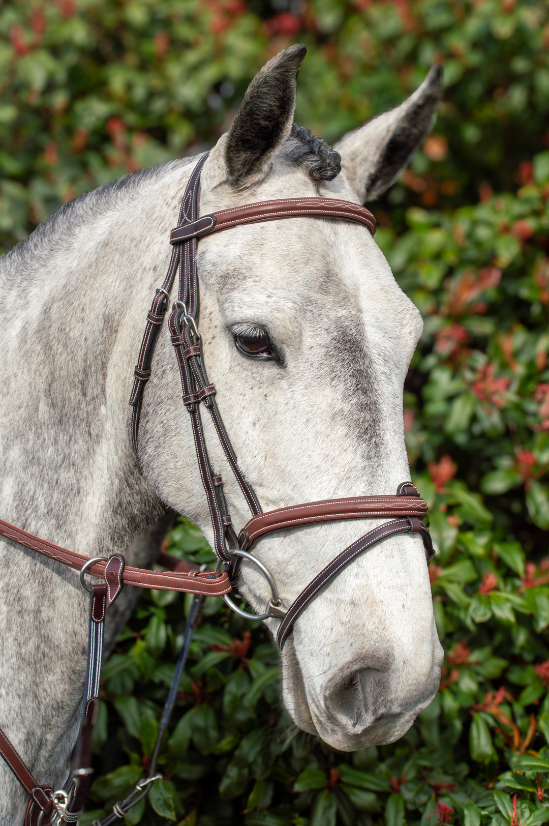 Bridles – Hinterland