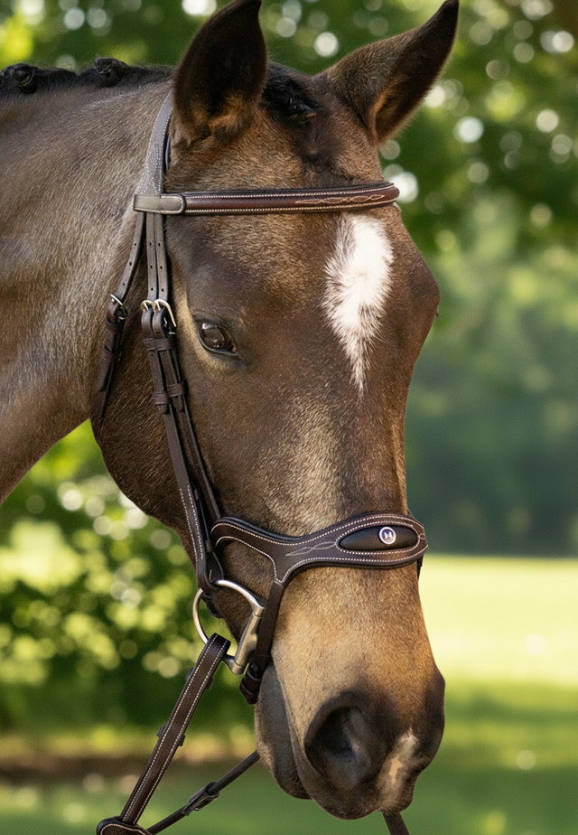 Bridles – Hinterland