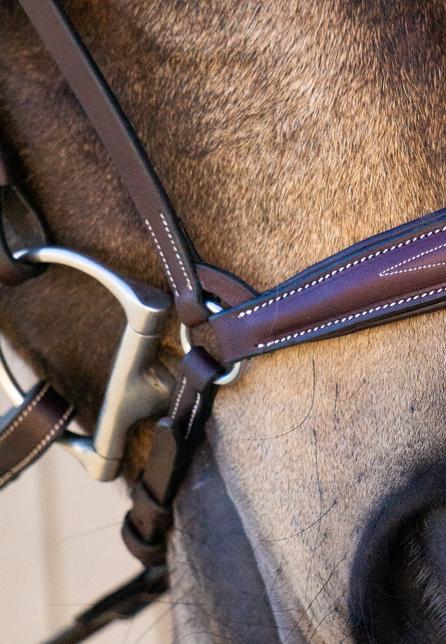 Drop Noseband – Hinterland